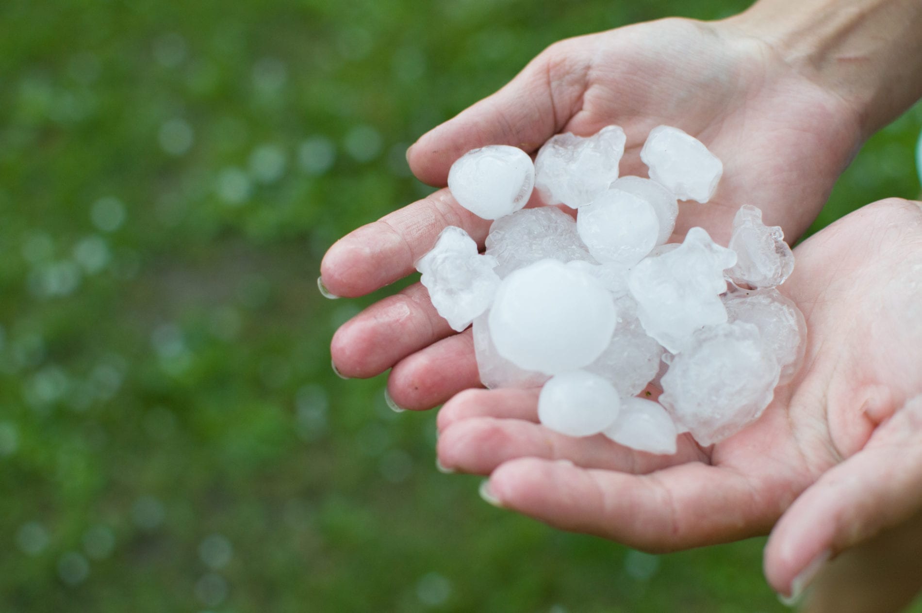 Hail Damage: Everything You Need to Know - Bailey's Roofing