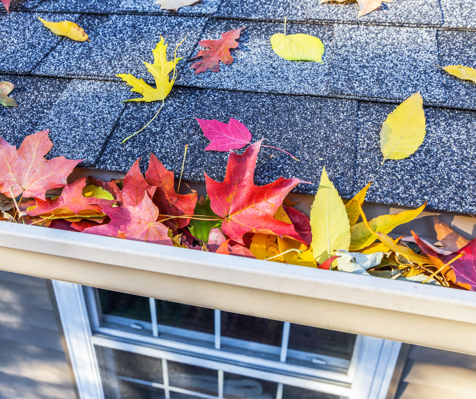 4 Reasons Fall is the Time for Roof Repair - Bailey's Roofing